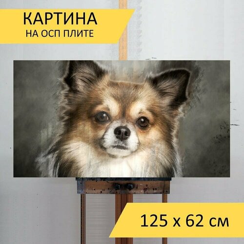 Картина на ОСП 125х62 см. "Чихуахуа, собака, милый" горизонтальная, для интерьера, с креплениями