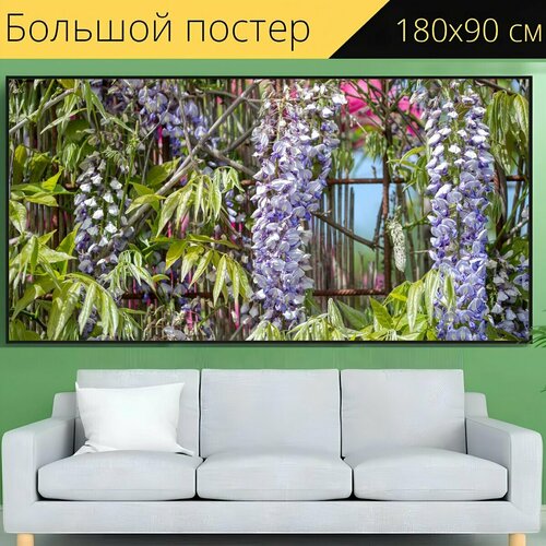 Большой постер "Глициния, вьющиеся растения, бабочки" 180 x 90 см. для интерьера
