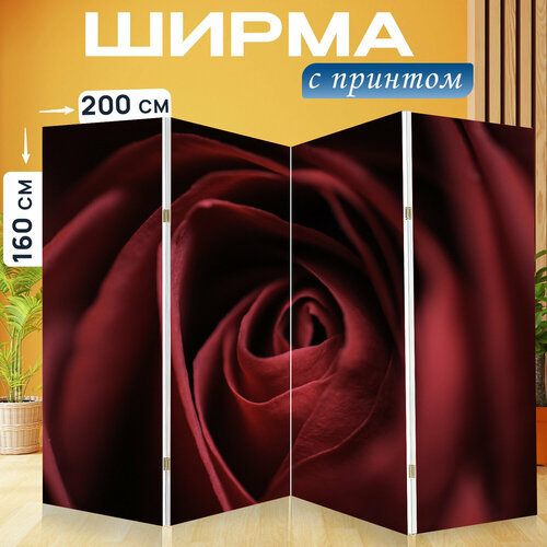 Ширма перегородка с принтом "Цветок, роза, красный" на холсте - 200x160 см. для зонирования, раскладная