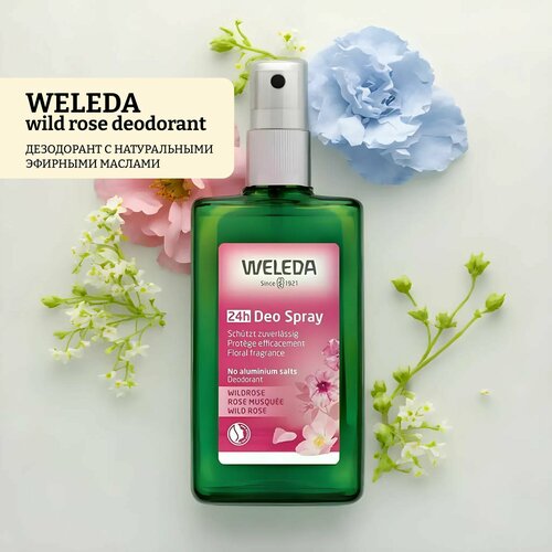 Дезодорант с натуральными эфирными маслами розовый weleda wild rose deodorant