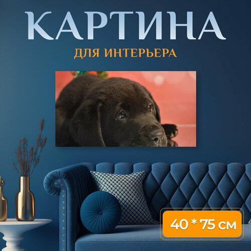 Картина на холсте "Собака, щенок, домашний питомец" на подрамнике 75х40 см. для интерьера