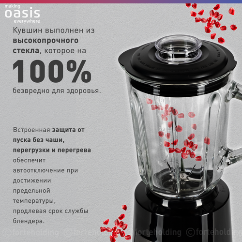 Блендер стационарный Oasis ST-120B