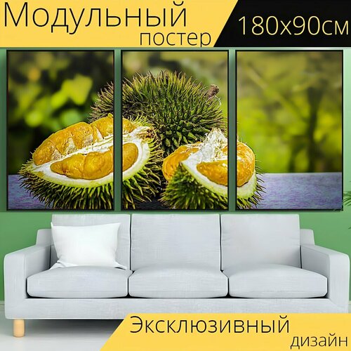 Модульный постер "Дуриан, фрукты, тропический" 180 x 90 см. для интерьера