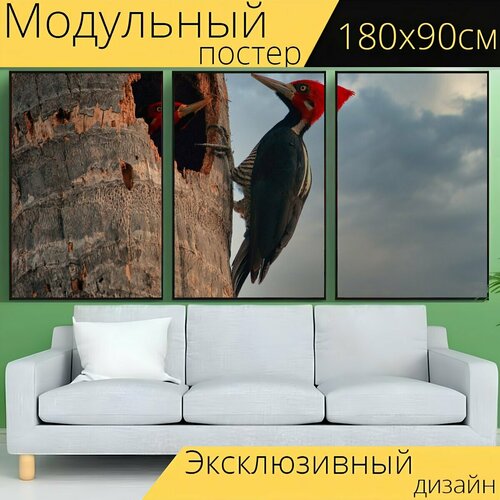 Модульный постер "Дятел, птица, животное" 180 x 90 см. для интерьера