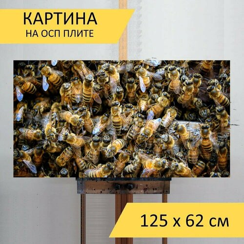 Картина на ОСП 125х62 см. "Пчелы, улей, роиться" горизонтальная, для интерьера, с креплениями