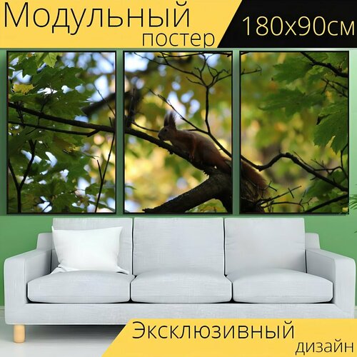 Модульный постер "Белка, орехи, дерево" 180 x 90 см. для интерьера