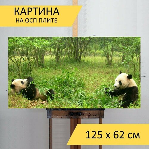Картина на ОСП 125х62 см. "Панды, две панды, китай" горизонтальная, для интерьера, с креплениями