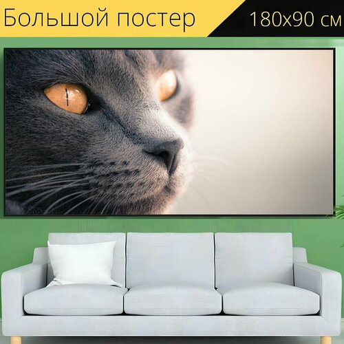 Большой постер "Кот, лицо, кошачий" 180 x 90 см. для интерьера