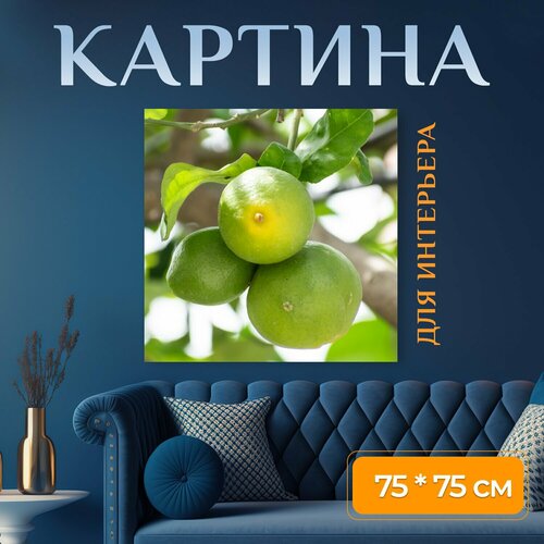 Картина на холсте "Лимон, фрукты, желтый" на подрамнике 75х75 см. для интерьера