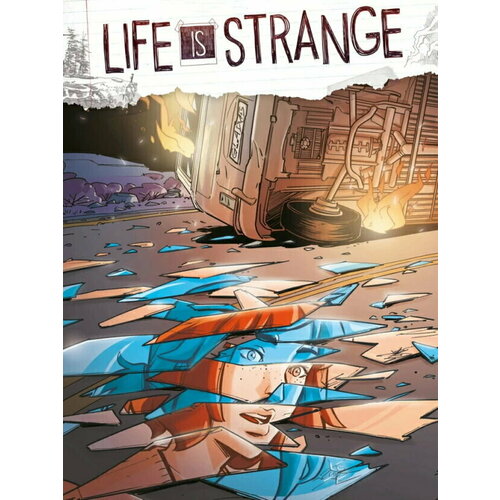 Плакат, постер на холсте Life Is Strange/игровые/игра/компьютерные герои персонажи. Размер 30 х 42 см
