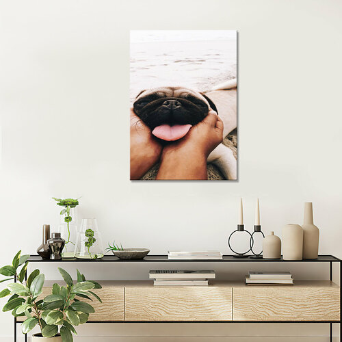 Интерьерная картина на холсте - Собака мопс и язык 30х40