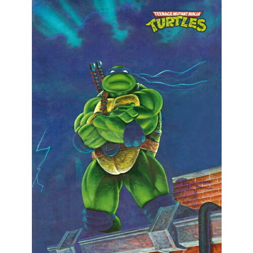 Плакат, постер на холсте Teenage Mutant Ninja Turtles: Leonardo/Черепашки ниндзя: Леонардо/комиксы/мультфильмы. Размер 21 х 30 см