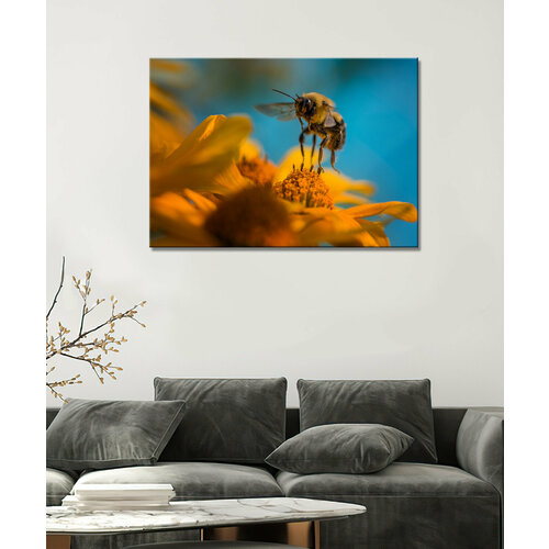 Картина/Пчела/Пчелы/Пчела на цветке/Пчела вблизи/Пчелакрупным планом/ - Пчела (30) 20х30