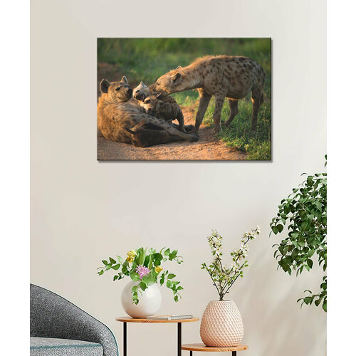 Картина - гиена, гиена в африке, хищная гиена, дикая гиена, гиена в природе (4) 20х30