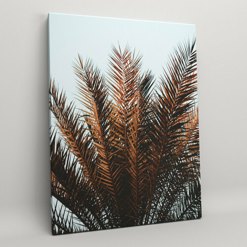 Картина на холсте (интерьерный постер) "Южная пальма", с деревянным подрамником, размер 45x60 см