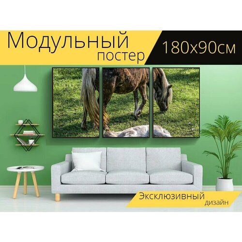 Модульный постер "Кобыла, жеребенок, лошади" 180 x 90 см. для интерьера