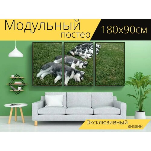 Модульный постер "Хаски, щенки, щенок" 180 x 90 см. для интерьера