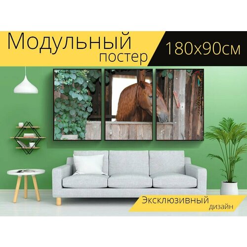 Модульный постер "Лошадь, сарай, лошадиная голова" 180 x 90 см. для интерьера