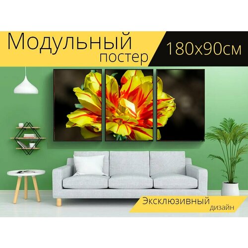 Модульный постер "Тюльпан, цветок, природа" 180 x 90 см. для интерьера