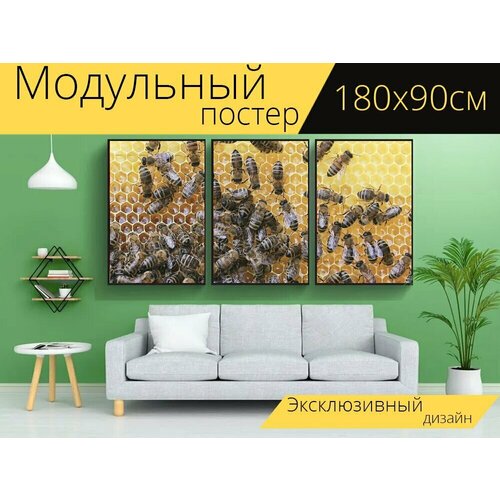 Модульный постер "Пчелы, соты, пчеловод" 180 x 90 см. для интерьера