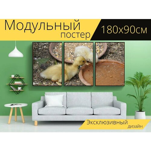 Модульный постер "Душка, утка, цыпленок" 180 x 90 см. для интерьера