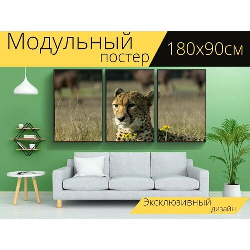Модульный постер "Гепард, большой кот, хищник" 180 x 90 см. для интерьера