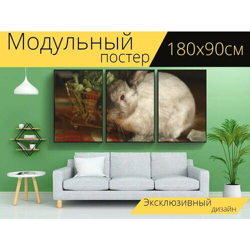 Модульный постер "Карликовый кролик, цвет карлика, домашнее животное" 180 x 90 см. для интерьера