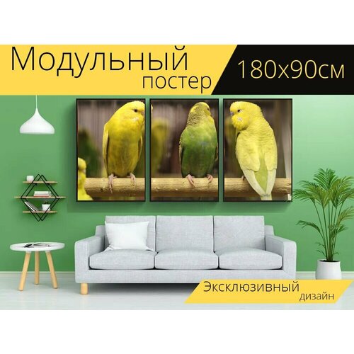 Модульный постер "Попугаи, любовь, грин" 180 x 90 см. для интерьера