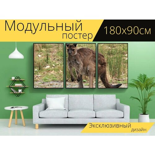Модульный постер "Кенгуру, сумчатое животное, родные" 180 x 90 см. для интерьера