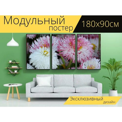 Модульный постер "Цветы, ромашки, красочные" 180 x 90 см. для интерьера