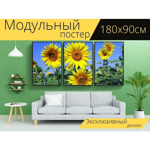 Модульный постер "Подсолнухи, подсолнечник, желтый" 180 x 90 см. для интерьера