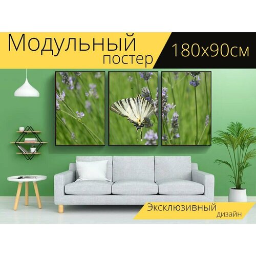 Модульный постер "Бабочка, лаванда, лавандовое поле" 180 x 90 см. для интерьера