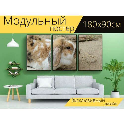 Модульный постер "Кролик, пасхальный, кролики" 180 x 90 см. для интерьера