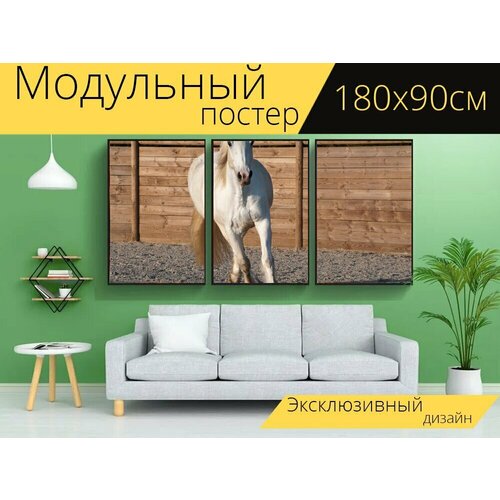 Модульный постер "Лошадь, рысь, белый" 180 x 90 см. для интерьера