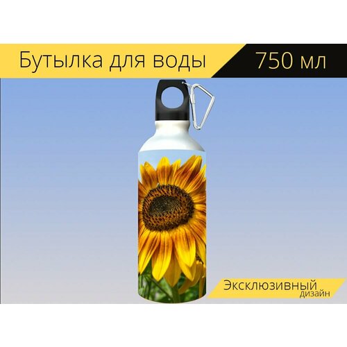 Бутылка фляга для воды "Подсолнечник, жёлтый, лето" 750 мл. с карабином и принтом