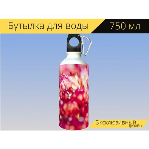 Бутылка фляга для воды "Цветок, лепестки, блум" 750 мл. с карабином и принтом