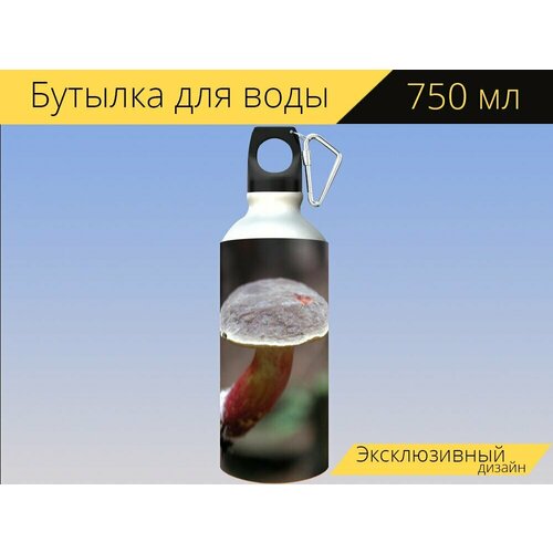Бутылка фляга для воды "Лес, гриб, грибы" 750 мл. с карабином и принтом