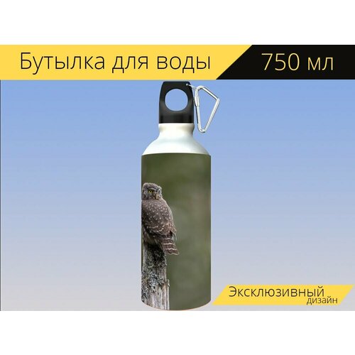 Бутылка фляга для воды "Сова, птица, животное" 750 мл. с карабином и принтом