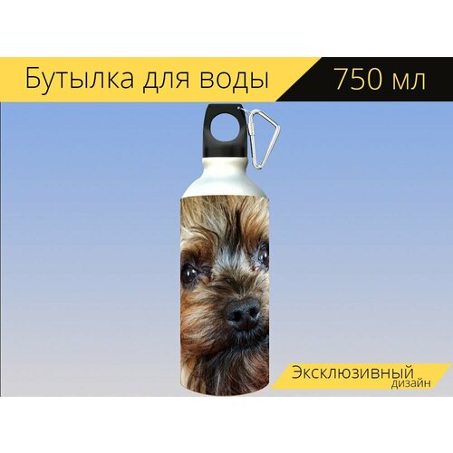 Бутылка фляга для воды "Морда моей мягкой собаки, йорки, собака" 750 мл. с карабином и принтом
