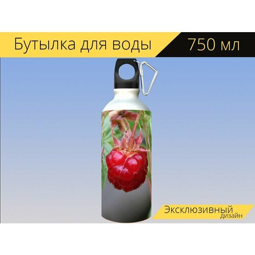 Бутылка фляга для воды "Малина, ягода, сад" 750 мл. с карабином и принтом