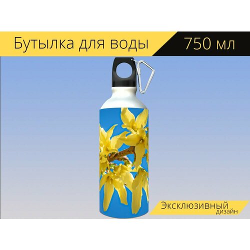 Бутылка фляга для воды "Форсайтия, пасхальный, весна" 750 мл. с карабином и принтом