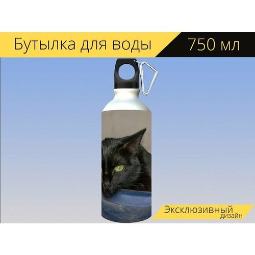 Бутылка фляга для воды "Кошка, черный кот, домашний питомец" 750 мл. с карабином и принтом