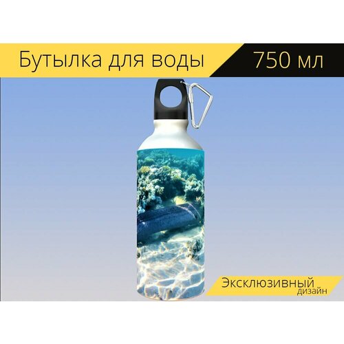 Бутылка фляга для воды "Мурена, коралловый риф, море" 750 мл. с карабином и принтом