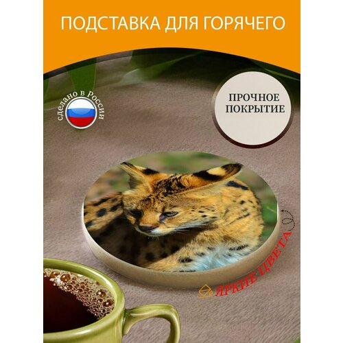 Подставка под горячее "Сервал, кошка, дикая кошка" 10 см. из блого мрамора