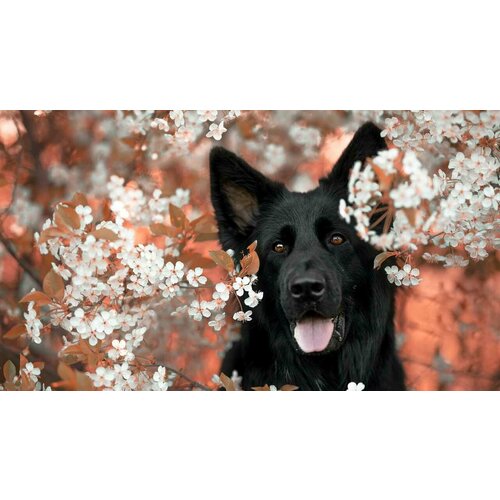 Картина на холсте 60x110 LinxOne "Животное пёс весна вишня" интерьерная для дома / на стену / на кухню / с подрамником