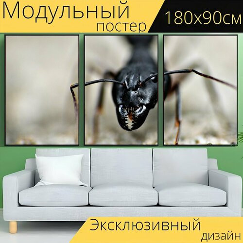 Модульный постер "Пасть, черный муравей, насекомое" 180 x 90 см. для интерьера