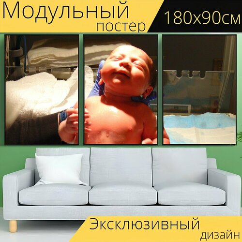 Модульный постер "Новорожденные, младенец, рождение" 180 x 90 см. для интерьера
