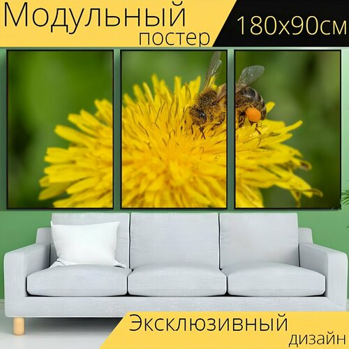 Модульный постер "Пчела, цветочная пыльца, нектар" 180 x 90 см. для интерьера