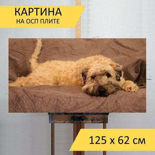 Картина на ОСП 125х62 см. "Собака, диван, портрет" горизонтальная, для интерьера, с креплениями