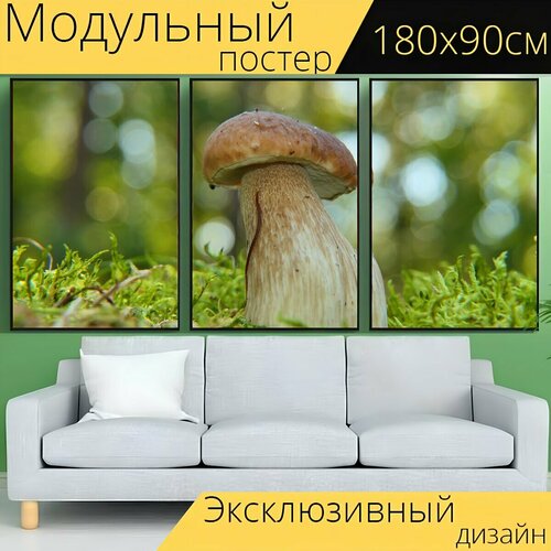 Модульный постер "Подберезовик, гриб, съедобный гриб" 180 x 90 см. для интерьера